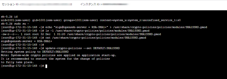 Amazon Linux 2023 にsshするための手順 | Oji-Cloud